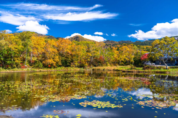 定番から穴場まで 志賀高原のオススメ紅葉スポット | 志賀高原高天ヶ原温泉 志賀パークホテル【公式】Shiga park hotel ...